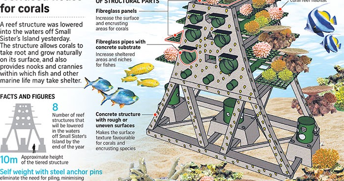 wildsingapore news: Artificial reef installed to help marine life ...