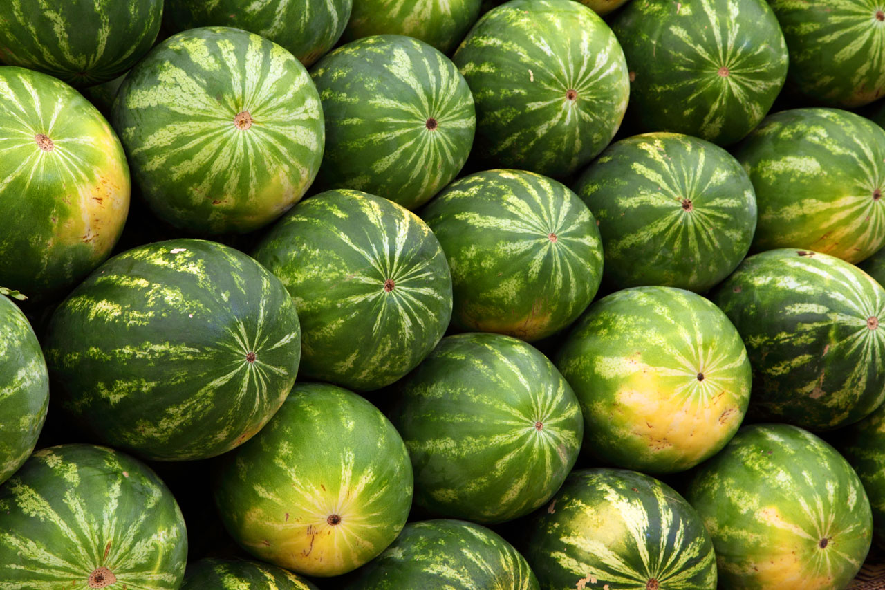 Images and photos of watermelons | Images of everything