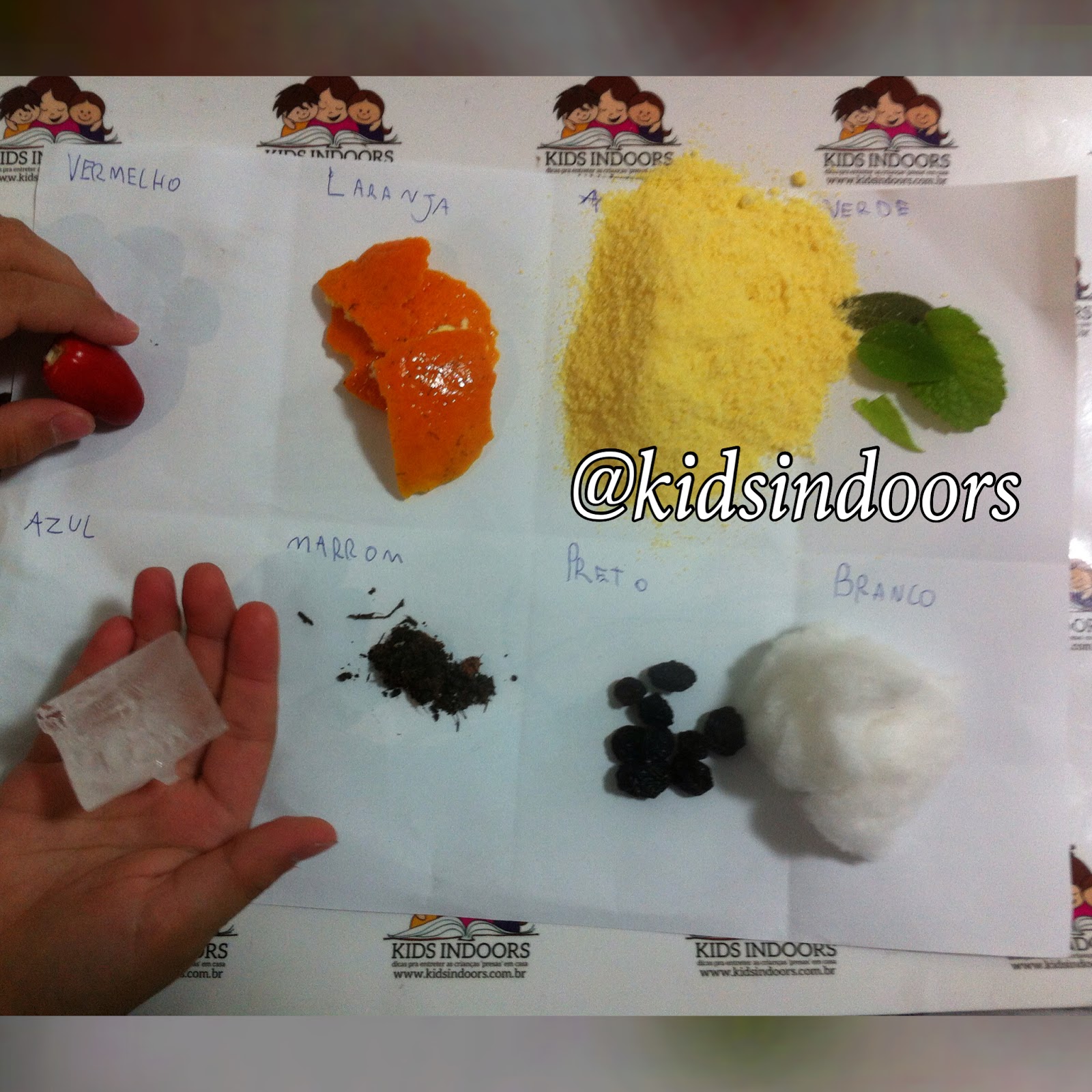 Todas as cores do mundo | KIDS INDOORS