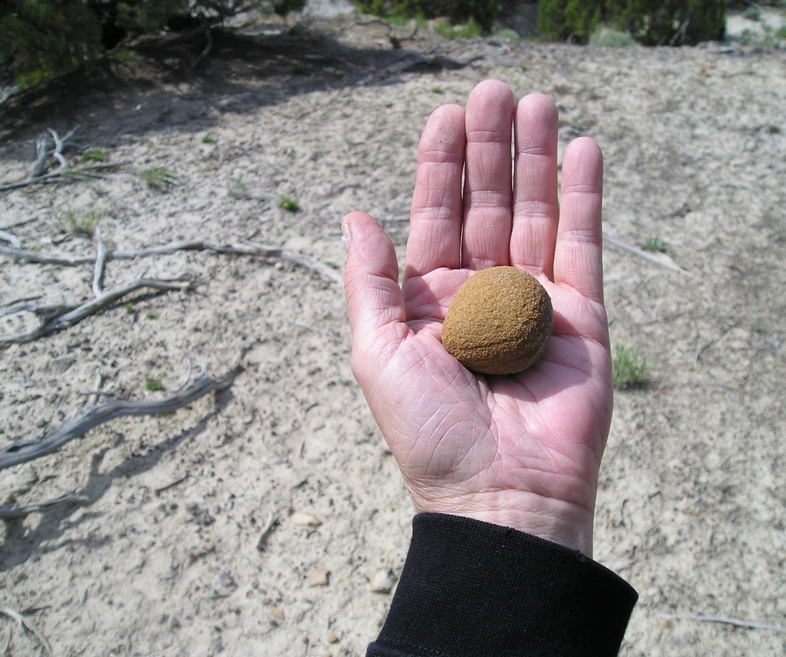 Rocks of Wyoming: Stones found in the Bighorn Mountains of Wyoming