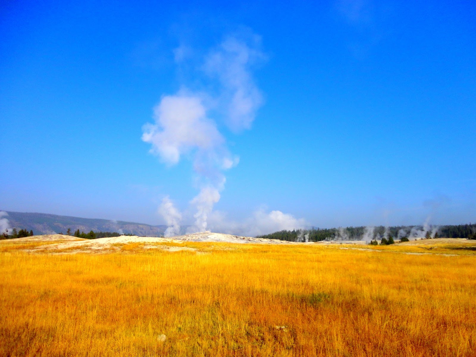 Onde O Gêiser é Encontrado - BRAINCP