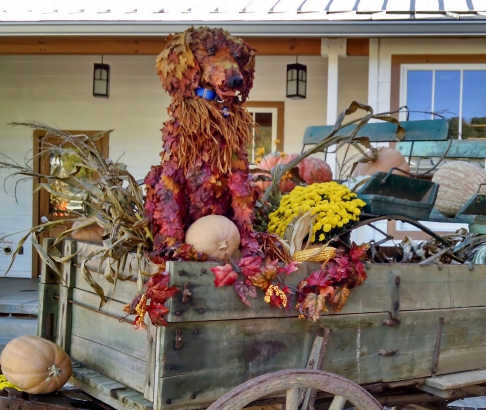 Fall 2015 and a Visit to A.J. Bush & Co. General Merchandise and Bush ...