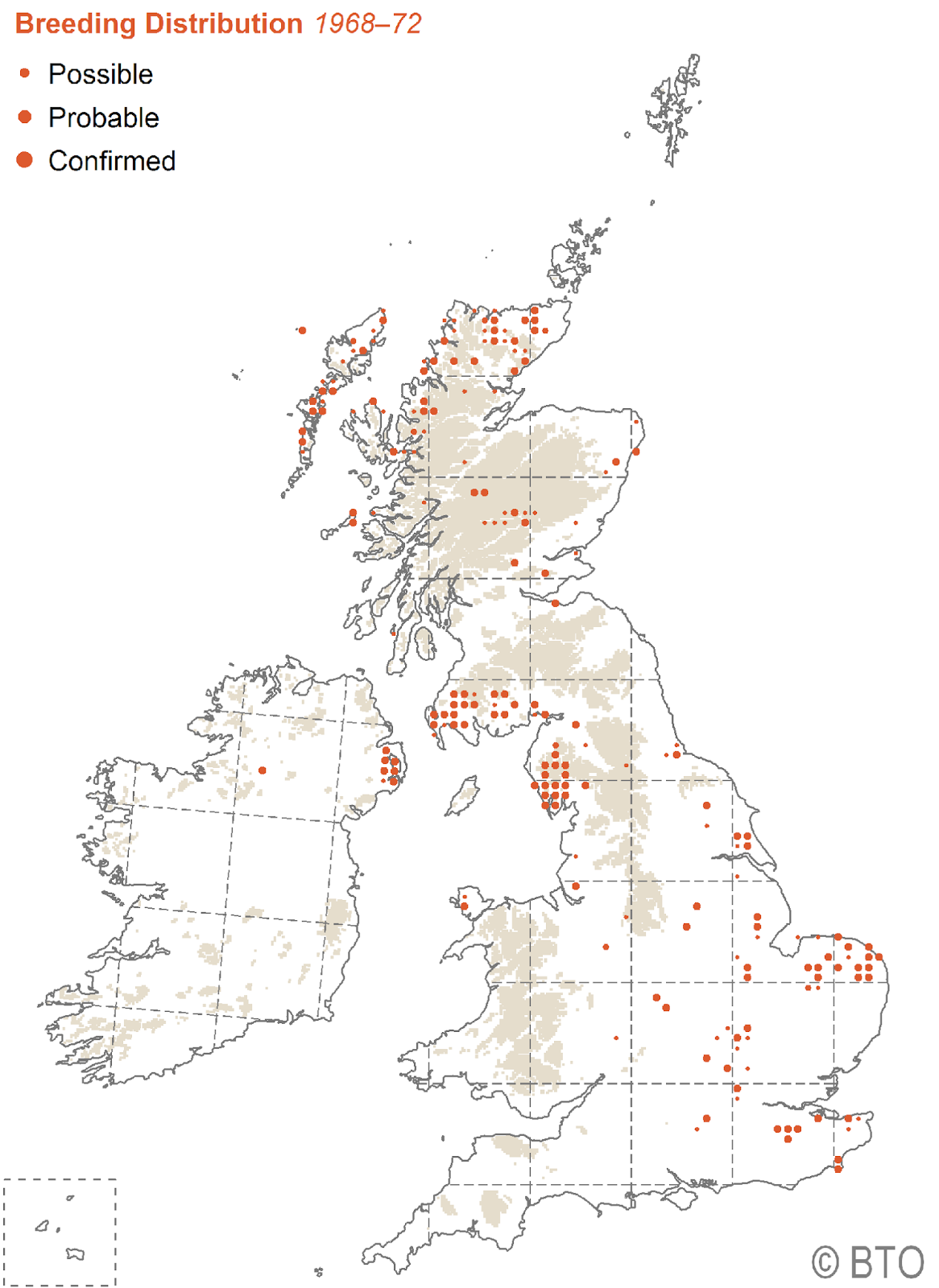 TrogTrogBlog: Bird of the week - Greylag goose