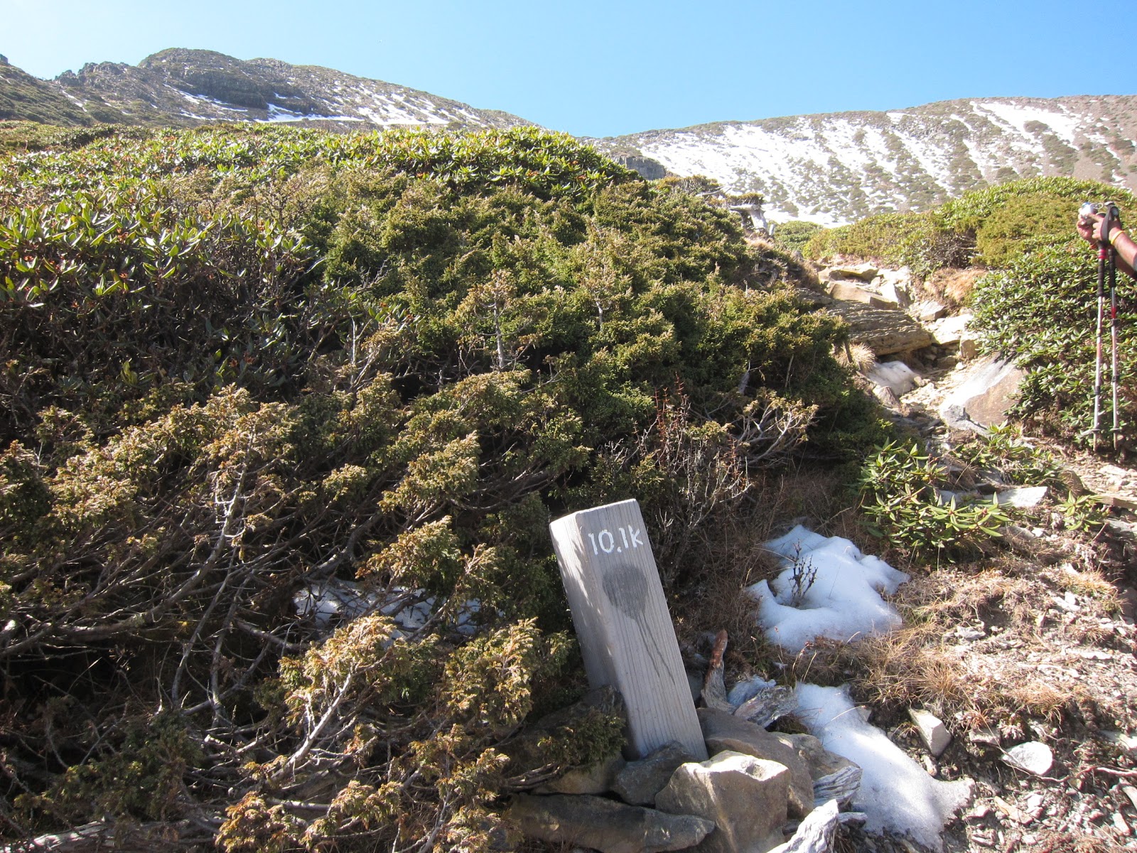 GEAR UP, GET OUT: Trip Report: Xueshan (Snow Mountain), Taiwan
