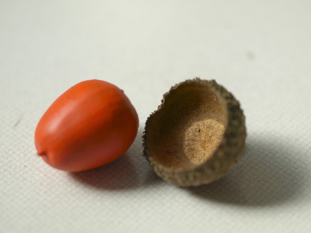 DIY: Festive Acorns » This Little Miggy