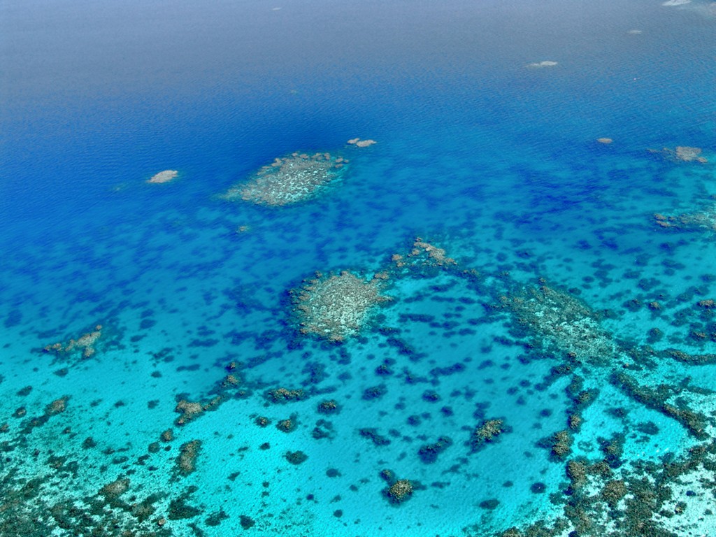 Tourism: The Great Barrier Reef Australia