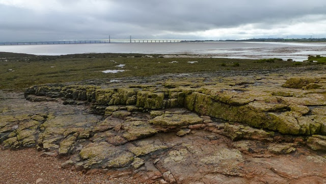Water and Art - Wading in Deeper: Severn Estuary - Beachley Point and ...