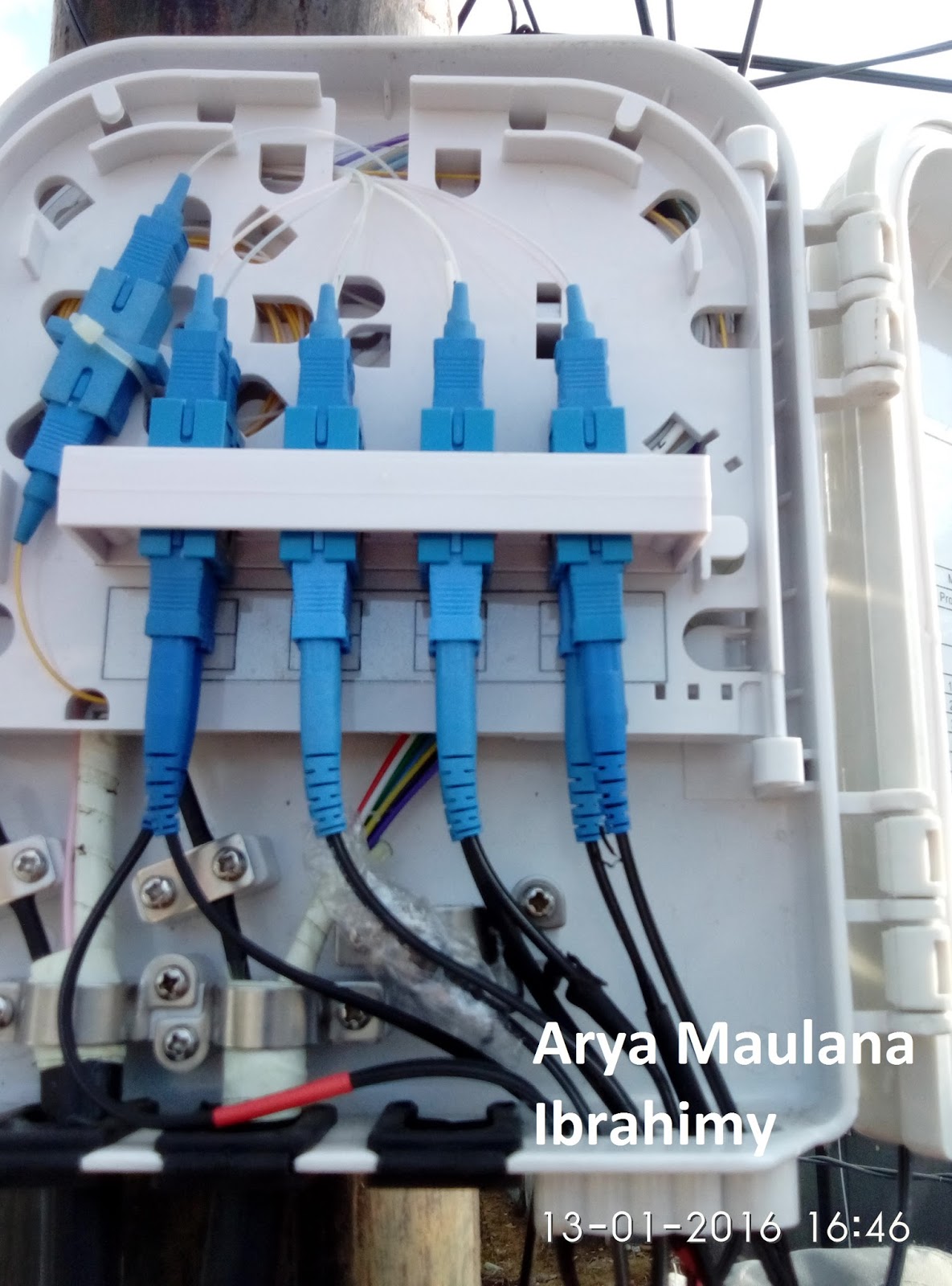 ZahrulHanifahBlog: Jenis-Jenis ODP