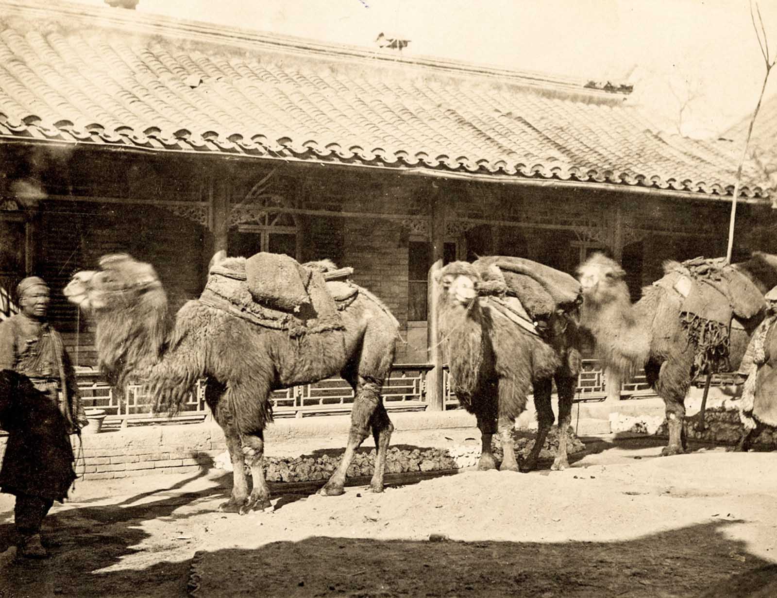Momentos del Pasado: Fotografías antiguas de China (1870-1890)