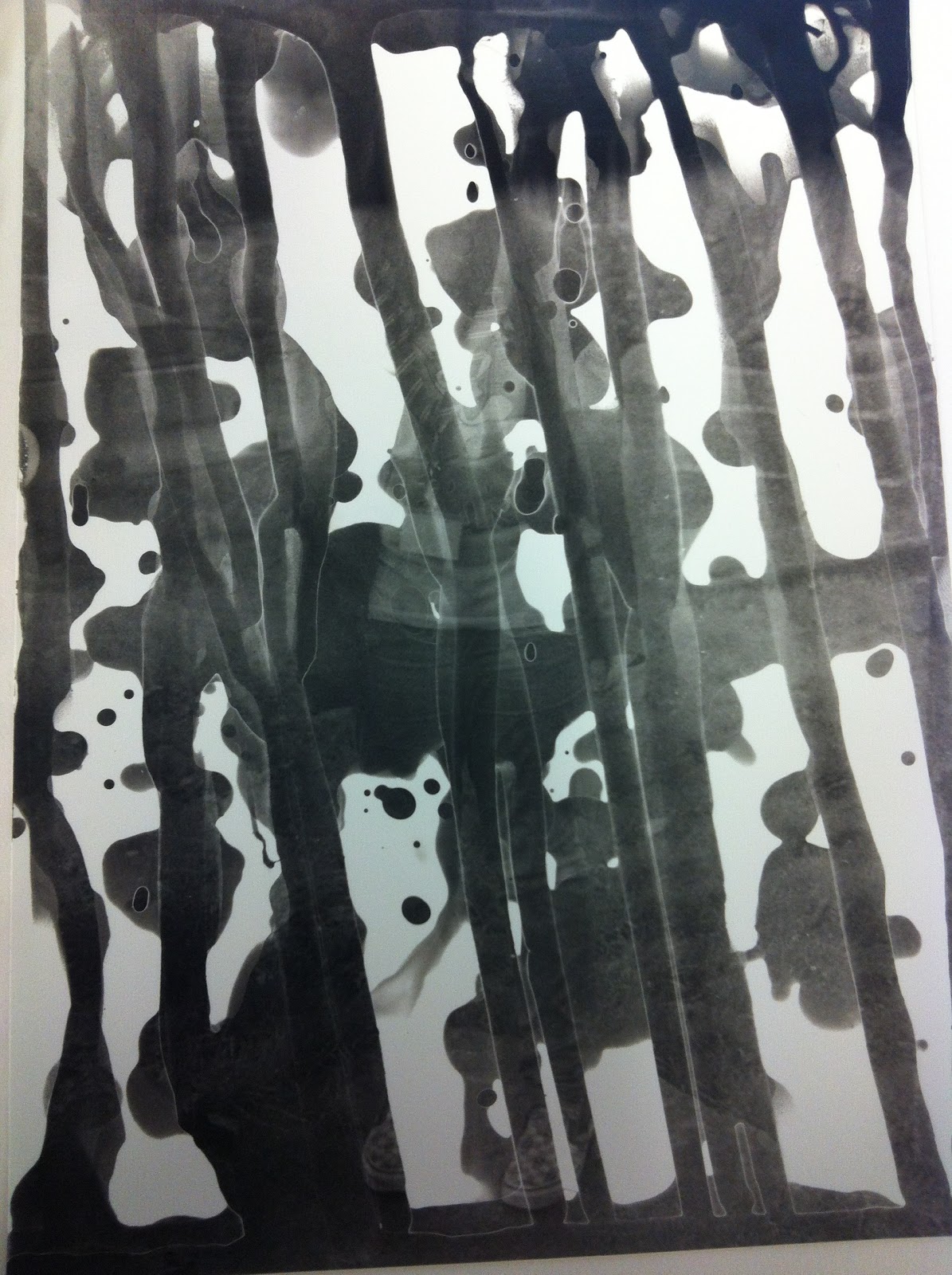 Liz Robson Photography: Dark Room Experiments