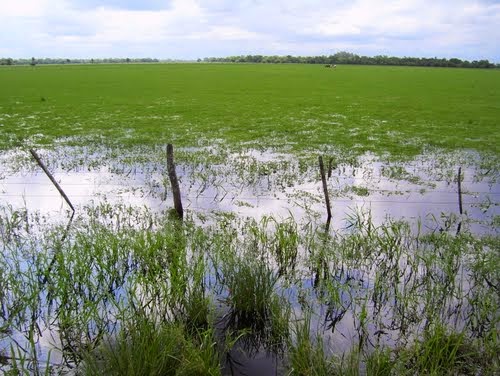 ARGENTINA: Humedales Sitios Ramsar "HUMEDALES CHACO" (9) ~ Vecinos del ...