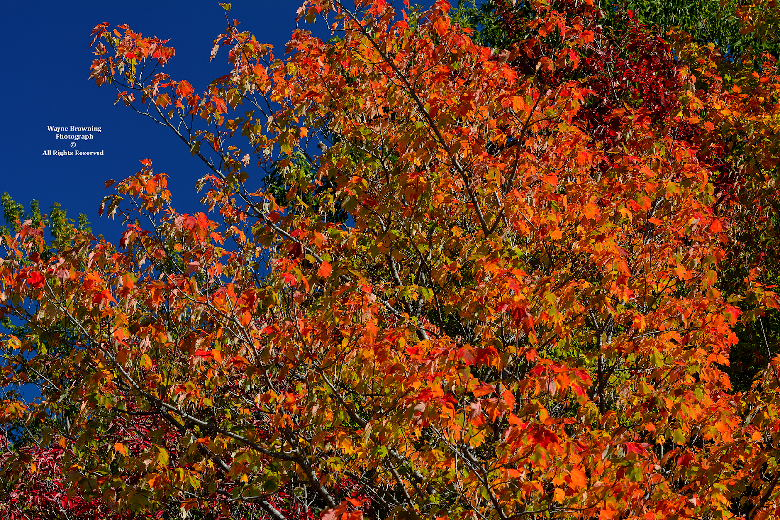 The High Knob Landform: The High Knob Landform