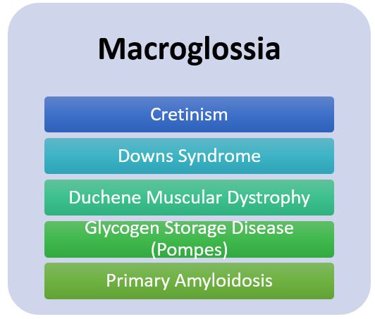 My notes: Its How I graduated Medical School.: Paediatrics: Head ...