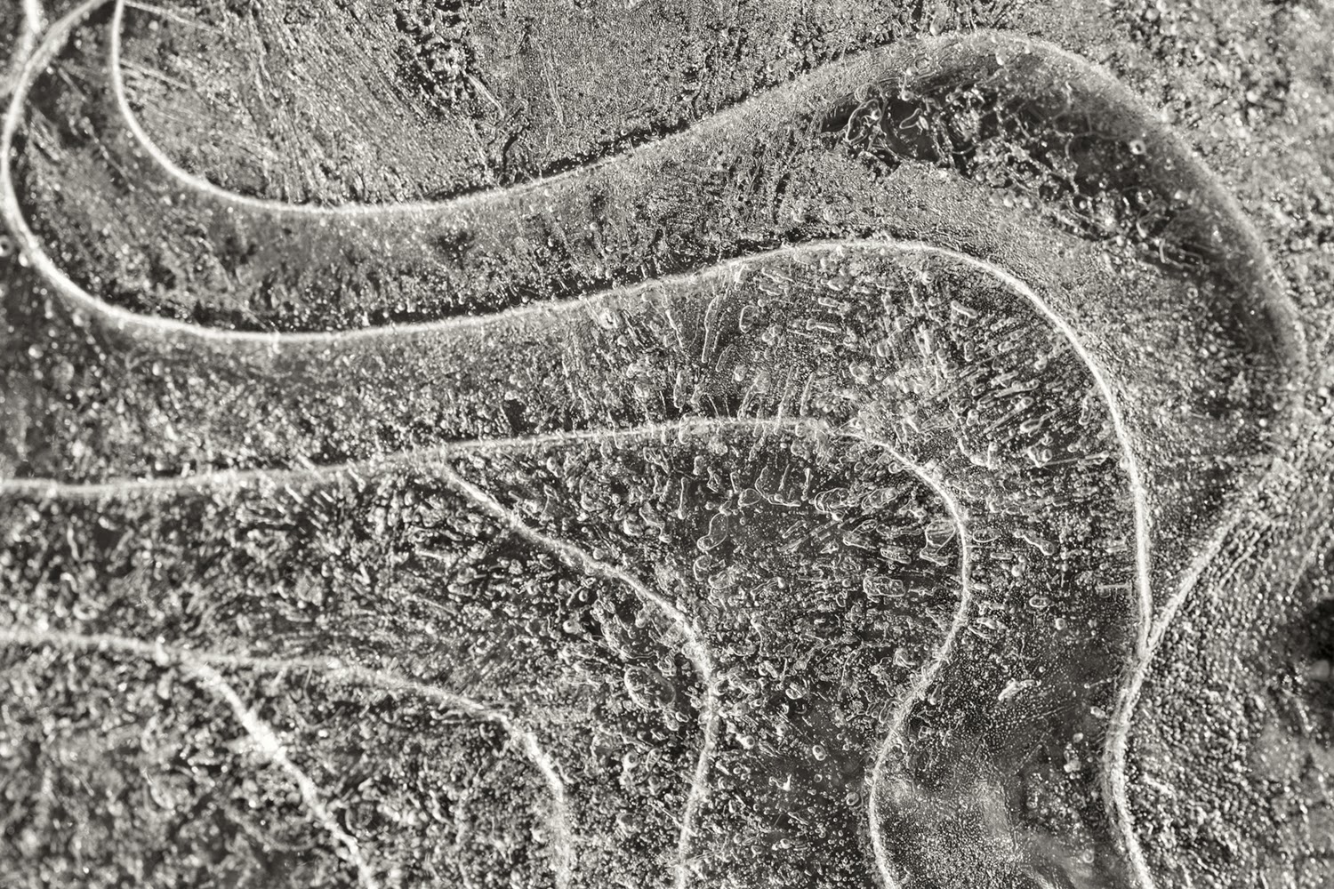 Michael Basista Photography