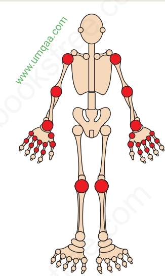 What is DAS28 score?