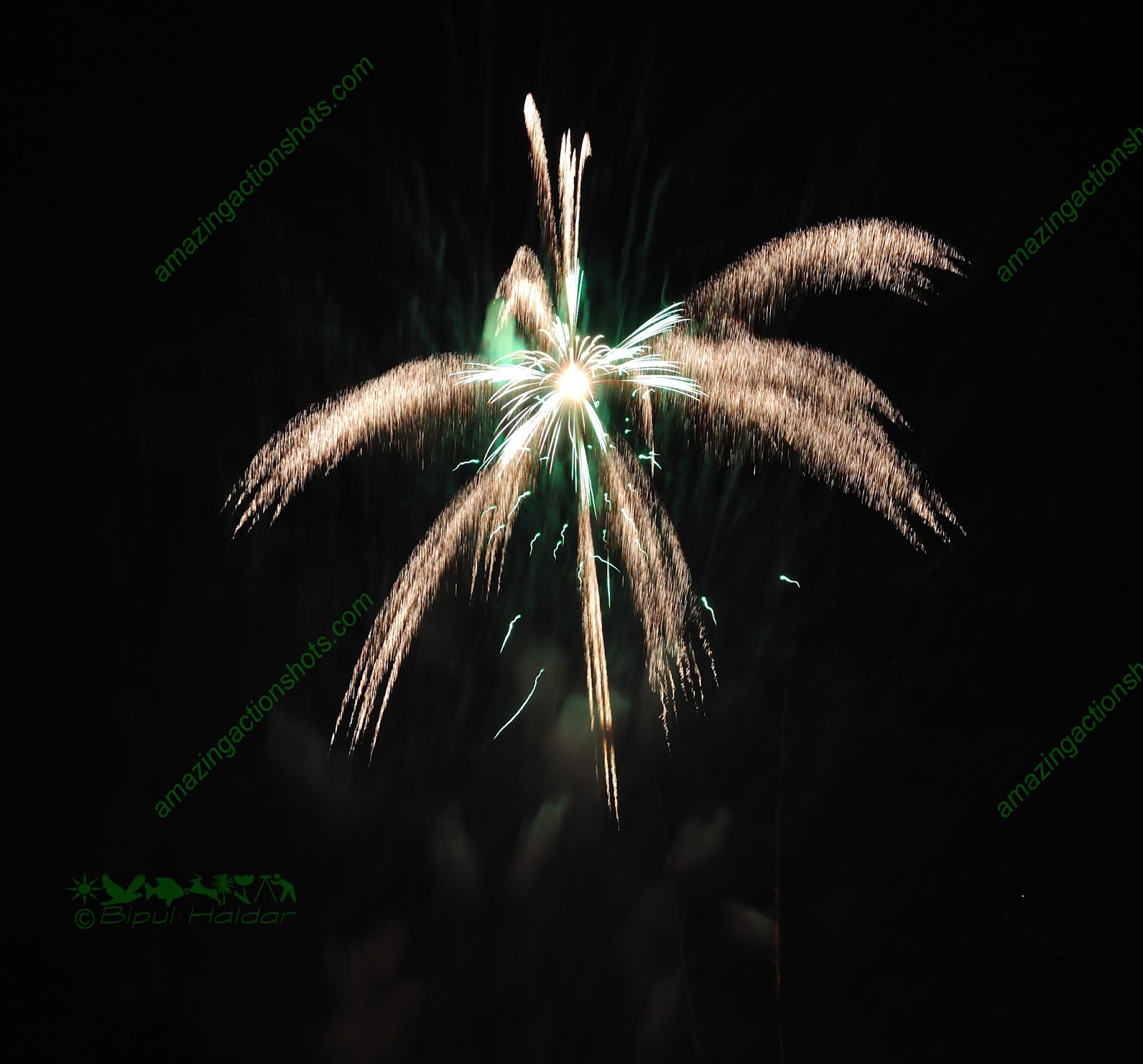 Amazing Action Photography : How to Photograph Fireworks Display