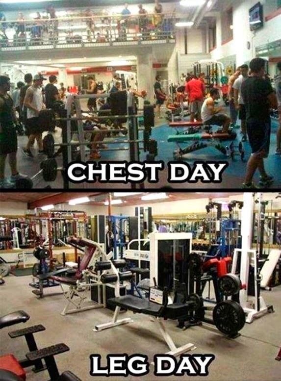 Gym Memes Chest Day