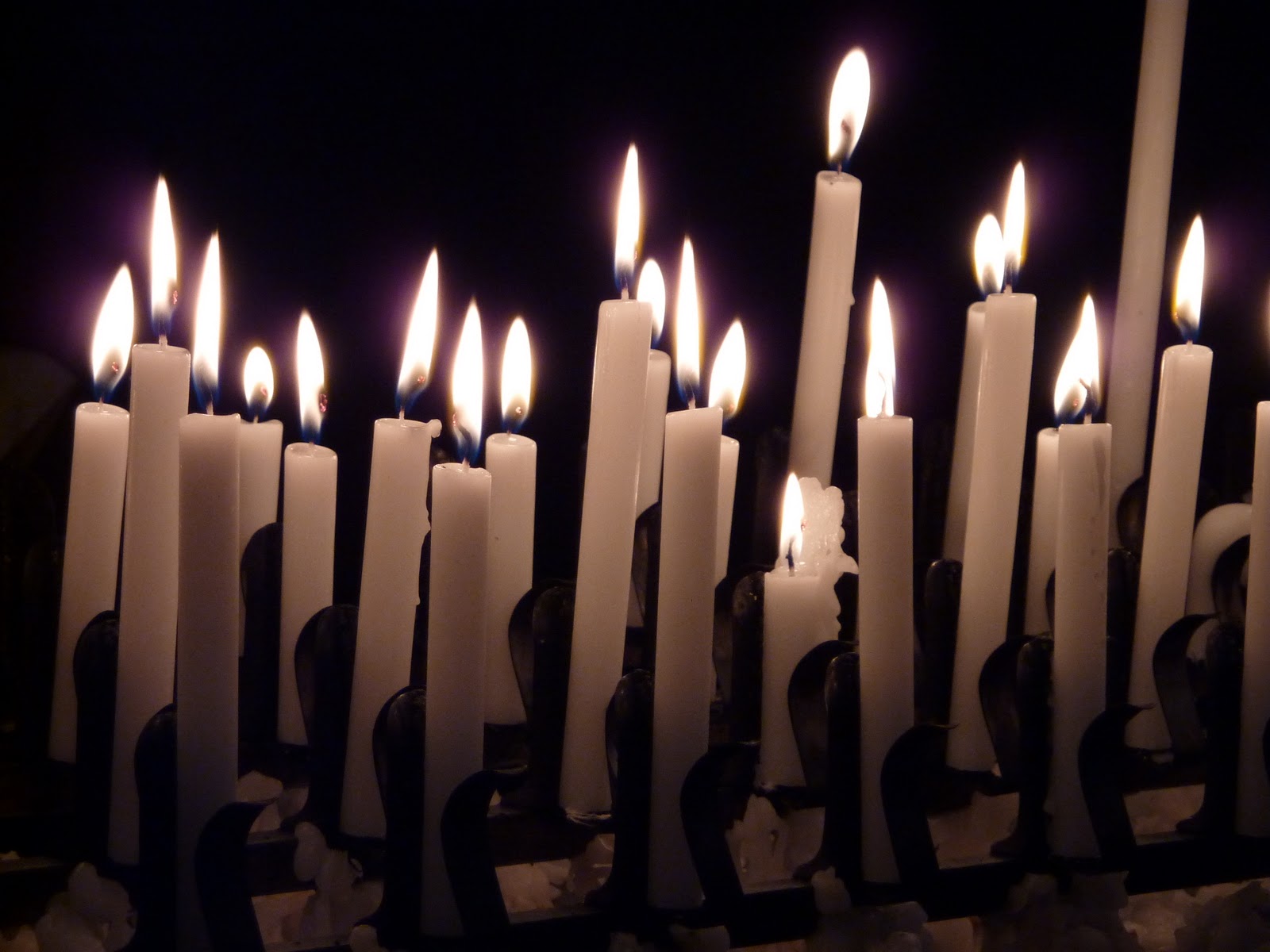 Rome - Ma Dolce Vita