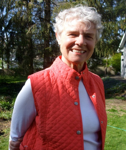 TEORIAS INTERMEDIAS: El Confort