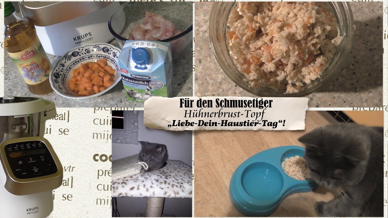 Janas Steinzeit: (Video) KRUPS Prep&Cook * Katzenfutter selber machen ...