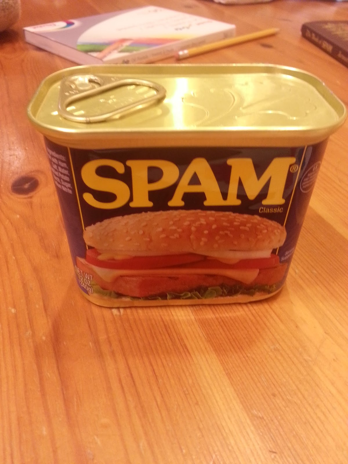 Heather and Randy's Family Blog: FHE Drawing SPAM
