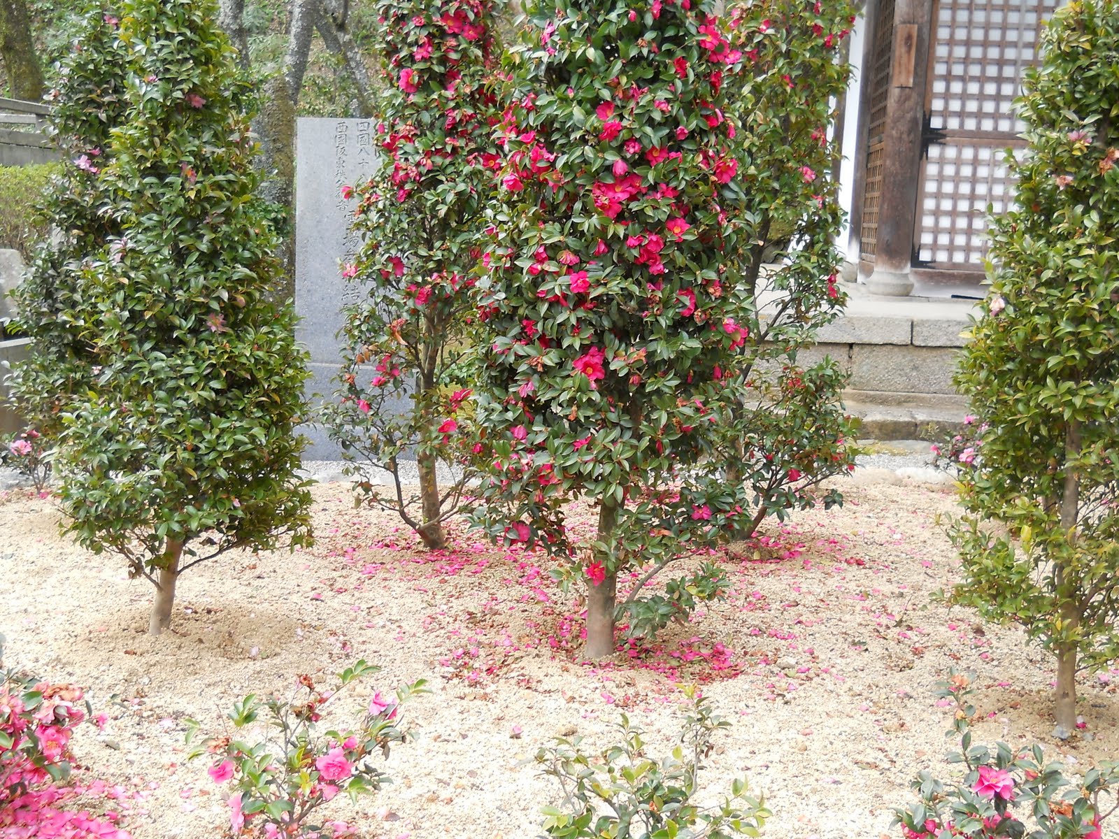 L.J. Popp's World adventures!: Hasedera and God`s continuing work in Japan