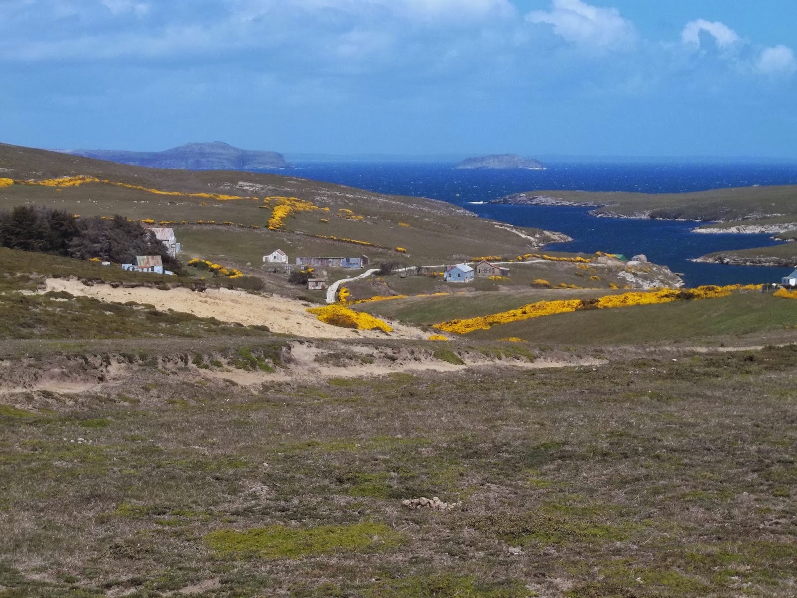 Sandra's world travels: Falkland Islands and Chile - November 2013