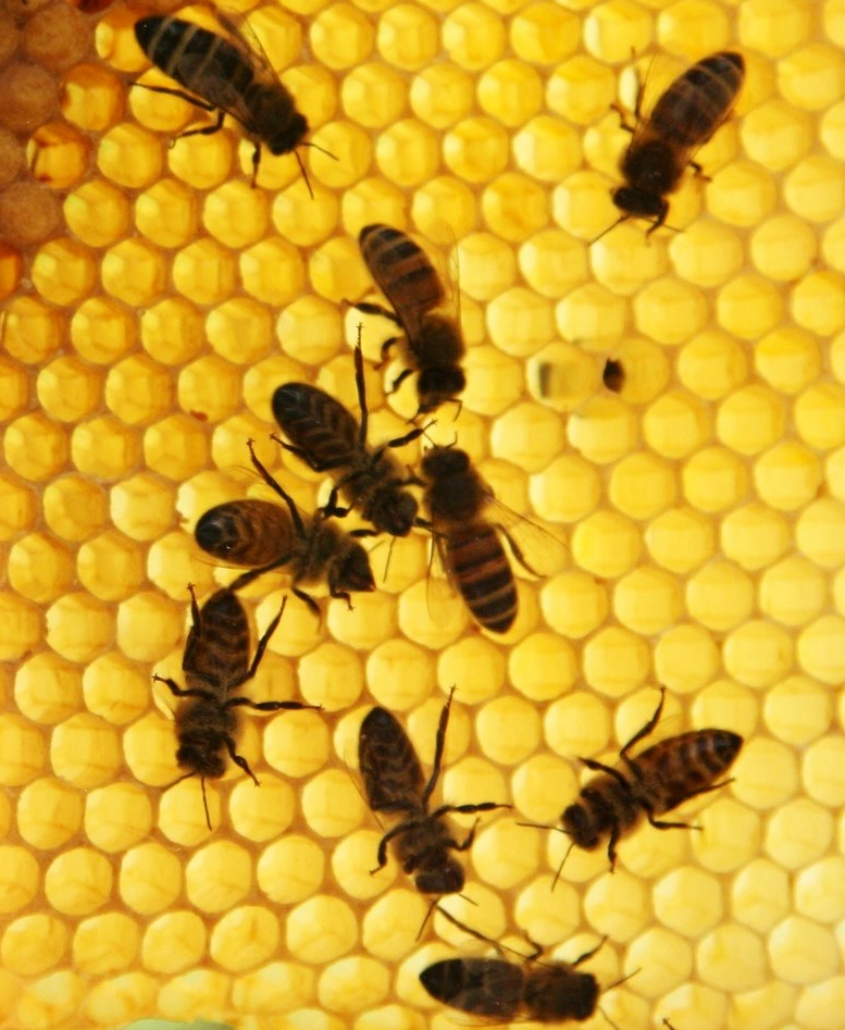 A bad witch's blog: May 2012