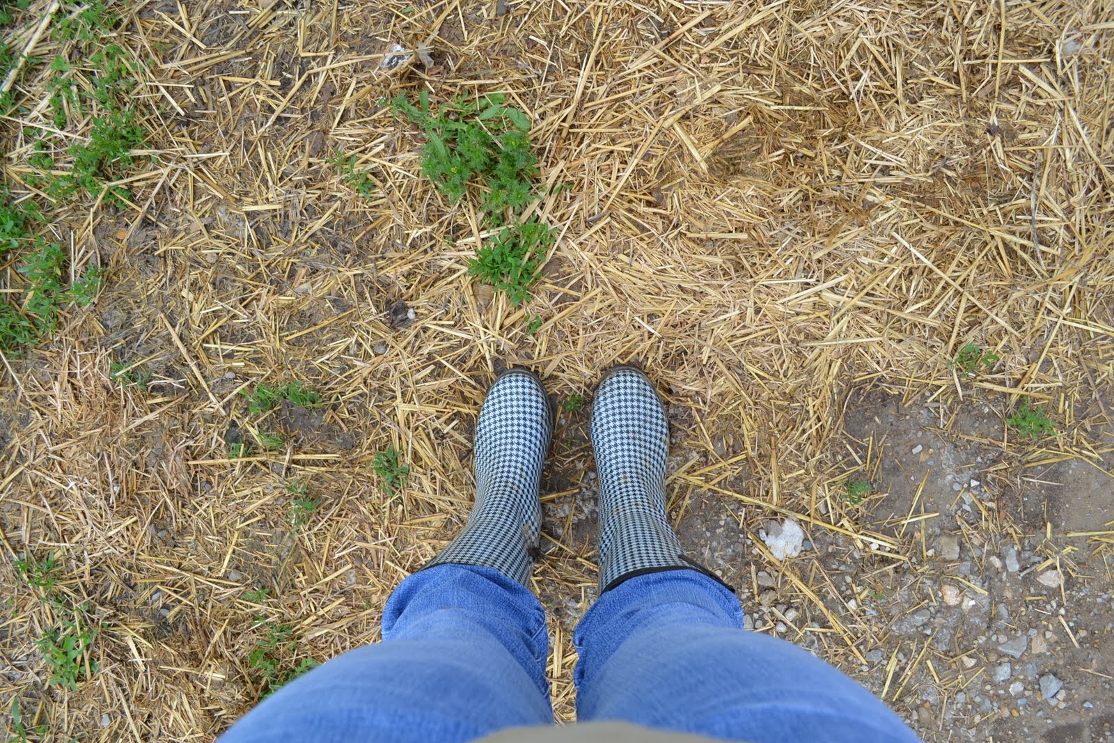The life and times of a city girl gone country: Boots, Shoes and ...