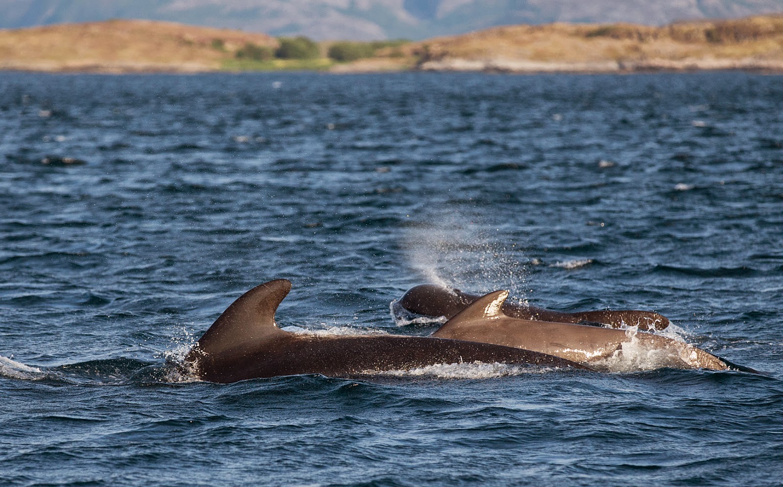 Natureksponering.no: juli 2014