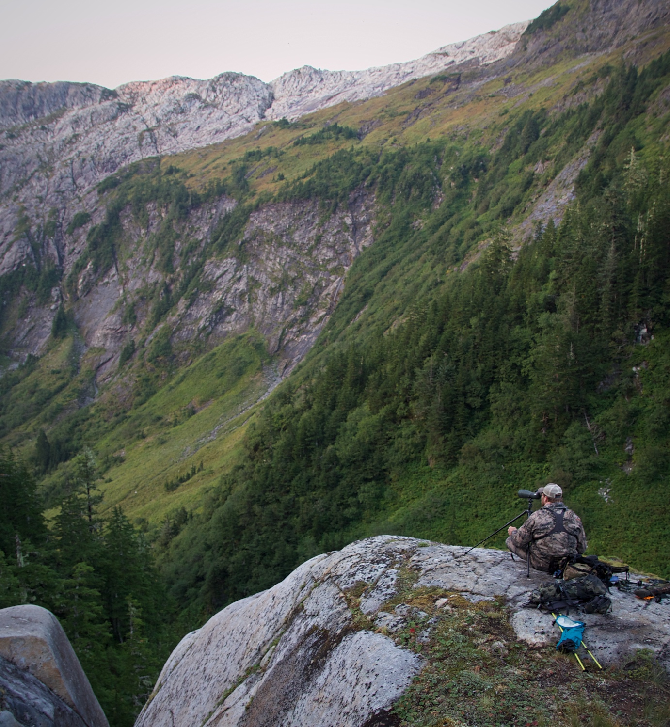 Etolin Island Archery Elk | Modern Mongolian
