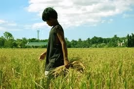 Kabuhayan sa Kabundukan: Kabuhayn sa Kabundukan