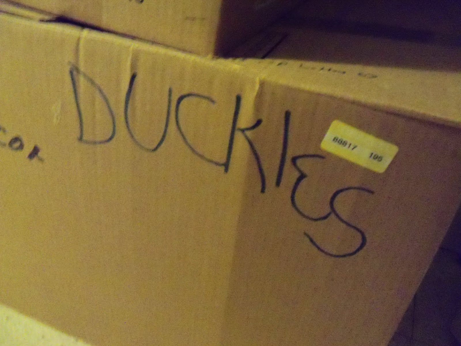 Diary of a Rubber Duckie Designer