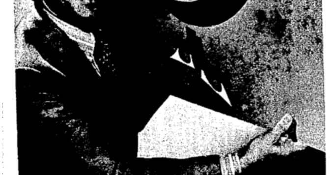 Classic Television Showbiz: An Oral History of Peter Puck