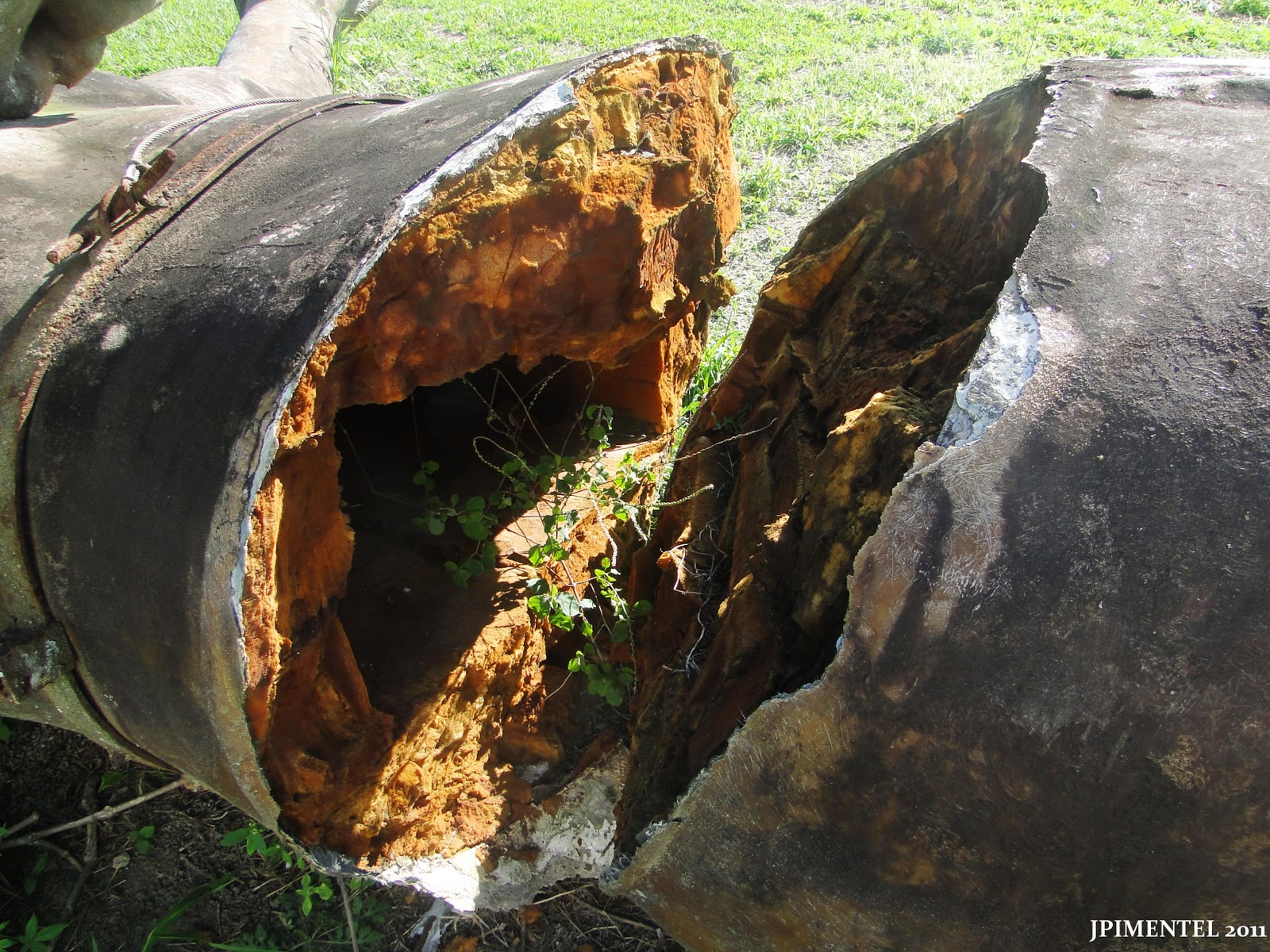 CAMPOS DOS GOYTACAZES EM FOTOS: ÍNDIO GOITACÁ - CAMPOS DOS GOYTACAZES (RJ)
