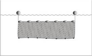 all in one by ince: (Edukasi) Gill Net