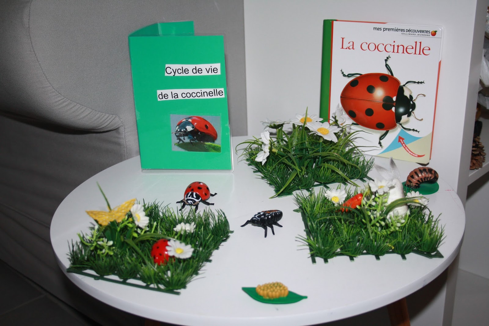 Notre thème du mois : la coccinelle - MvWm - Ma vie de WonderMaman