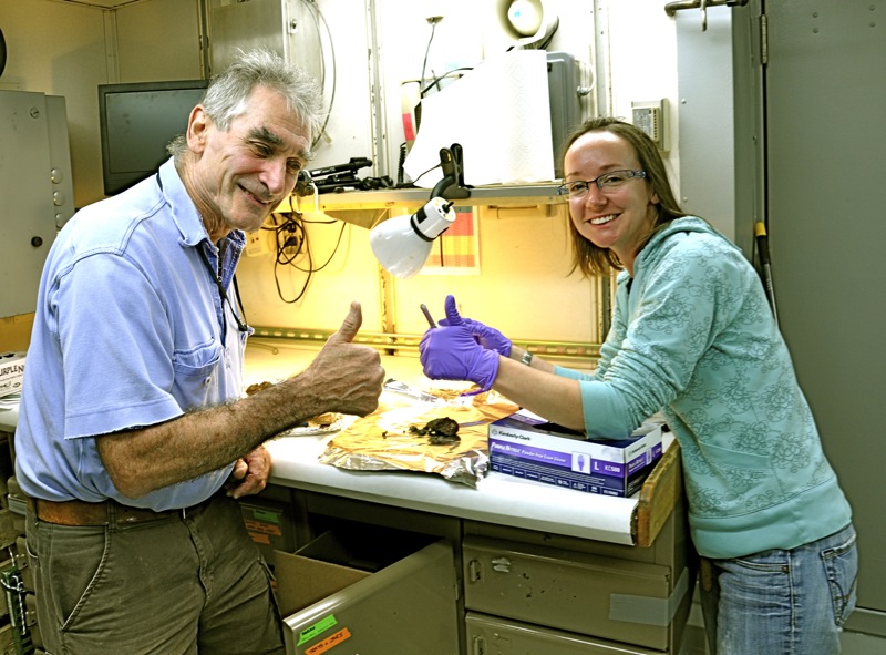 Oases 2012: Return to the Cayman Rise