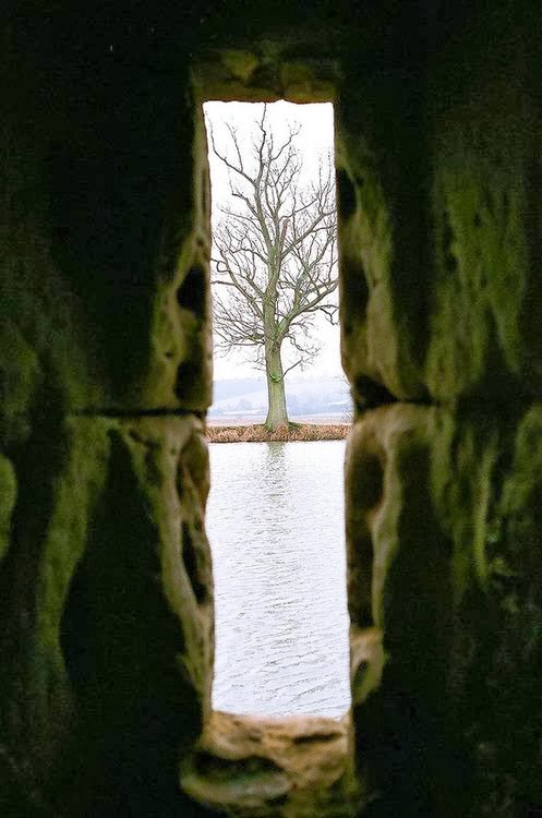 The start of Armageddon: Tree of LIFE!