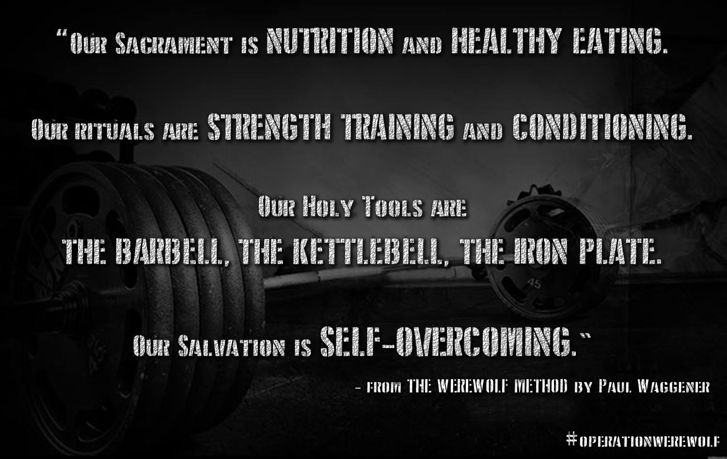 The Civil Savage: Operation Werewolf