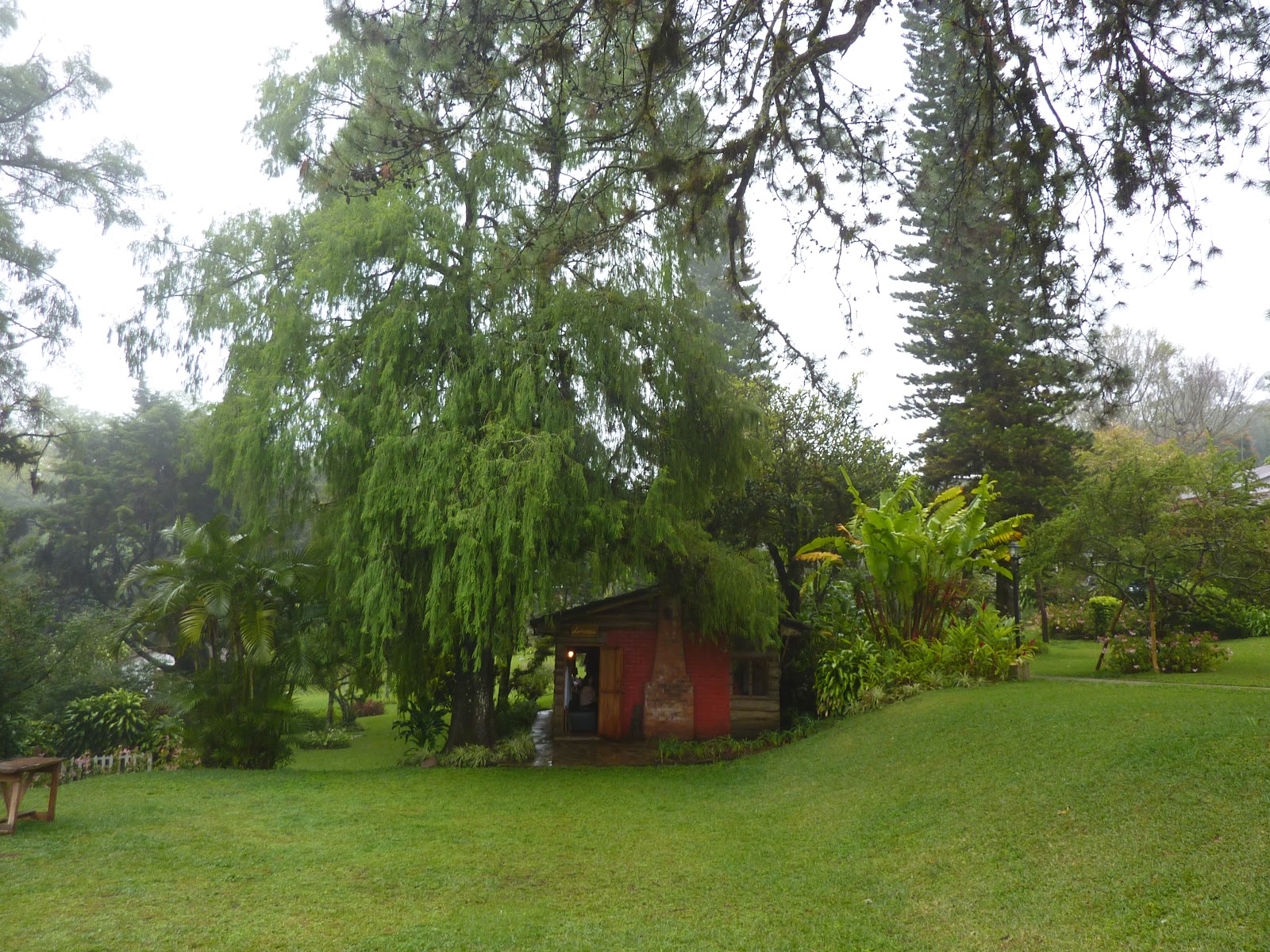 a year in the country with a smile - un año en el país con una sonrisa ...