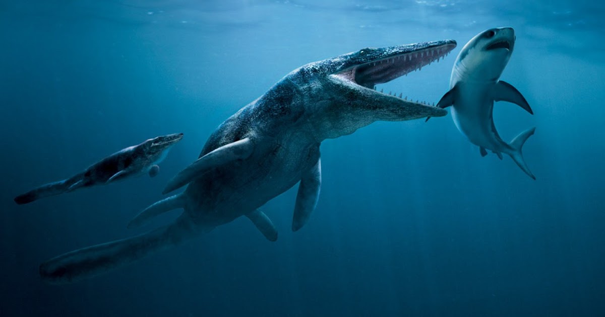 Mosasaurs | Earth Blog