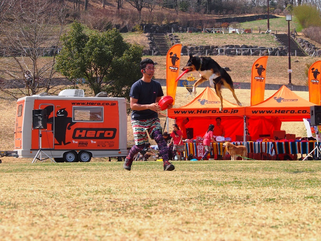 JDDCスタッフブログⅡ: 4月 2017