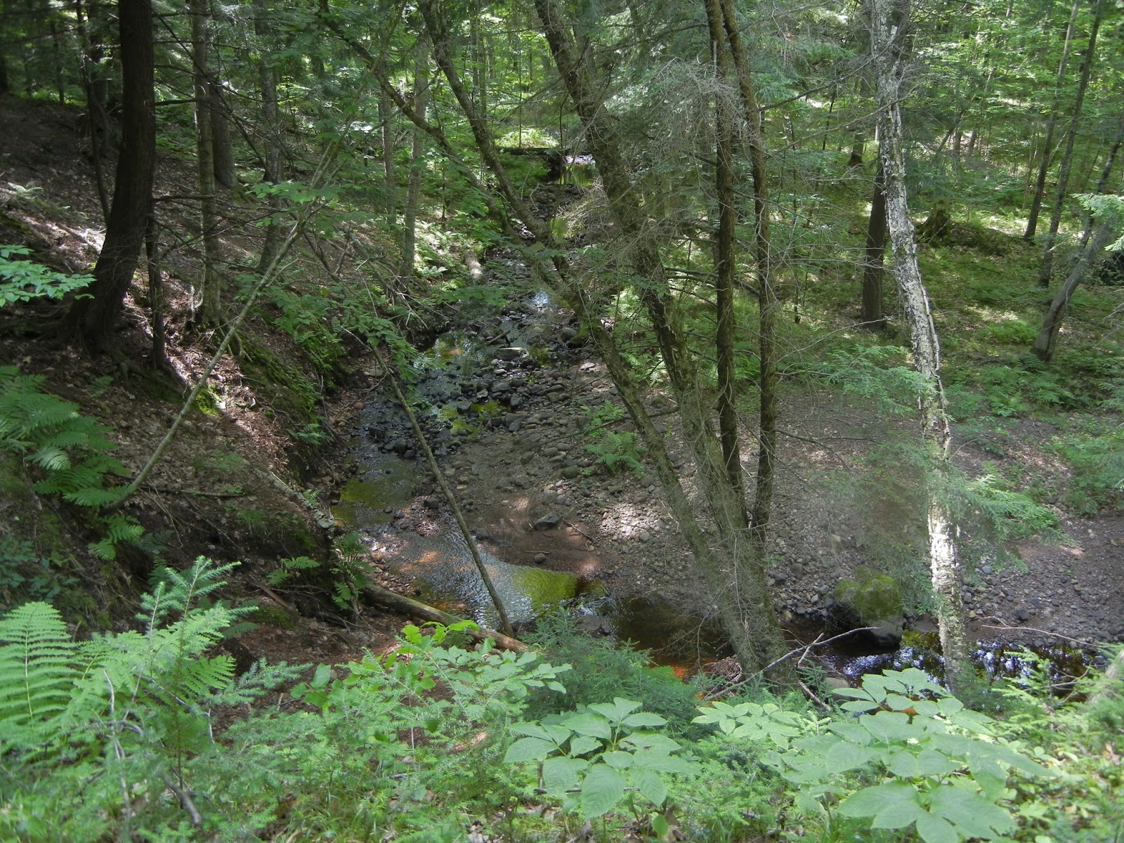 Hiking with Heather: Ice Age Trail: Turtle Rock Segment