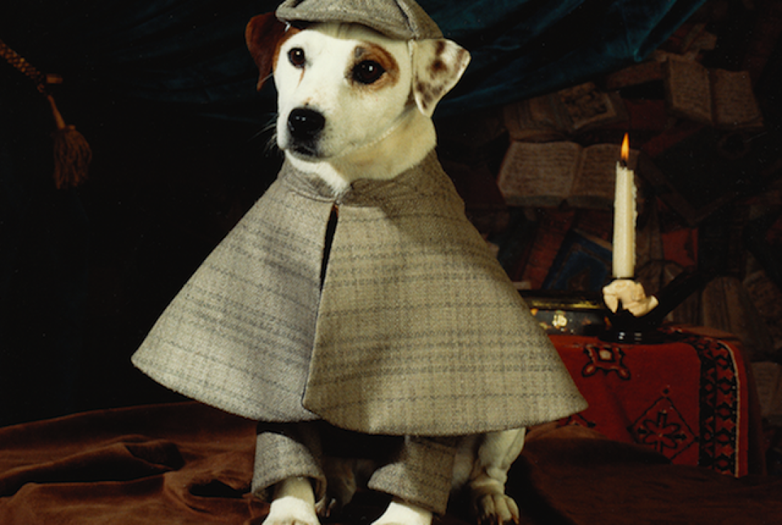 View from the Birdhouse: Dear Abby - Famous TV Dogs: Wishbone