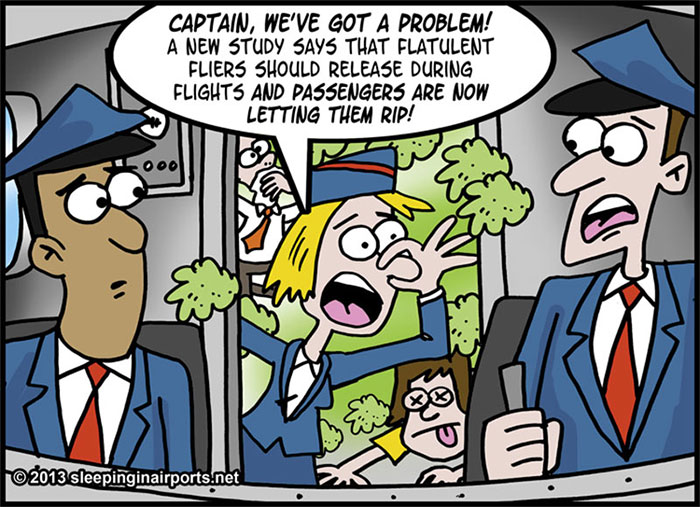 First indian woman commercial pilot - Ms. Prem Mathur - Navrang India