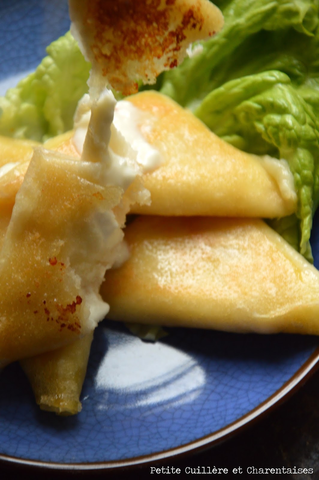 Petite Cuillère et Charentaises: Samoussas aux trois Fromages ...