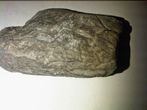 ¡Una Cruda Carrera!: LUTITA