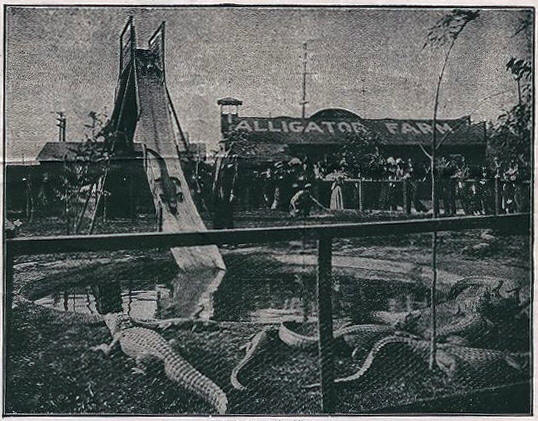 DECAYING HOLLYWOOD MANSIONS: The California Alligator Farm - Los Angeles