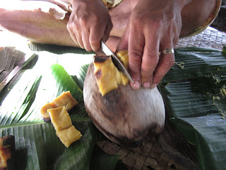 Words from the South Pacific: Faausi